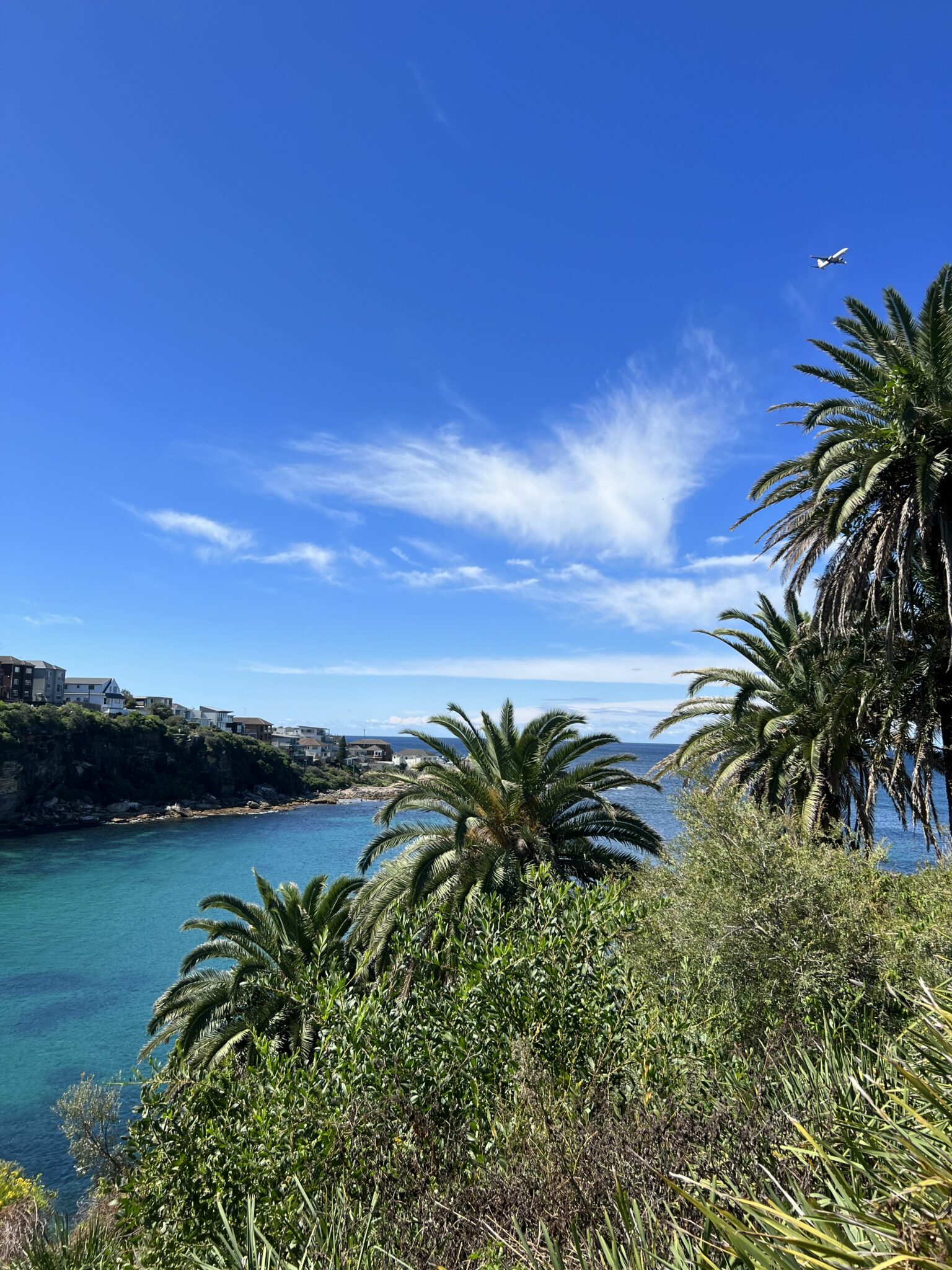 The Famous Bondi to Coogee Walk - A Sydney Must! - Char's Footsteps